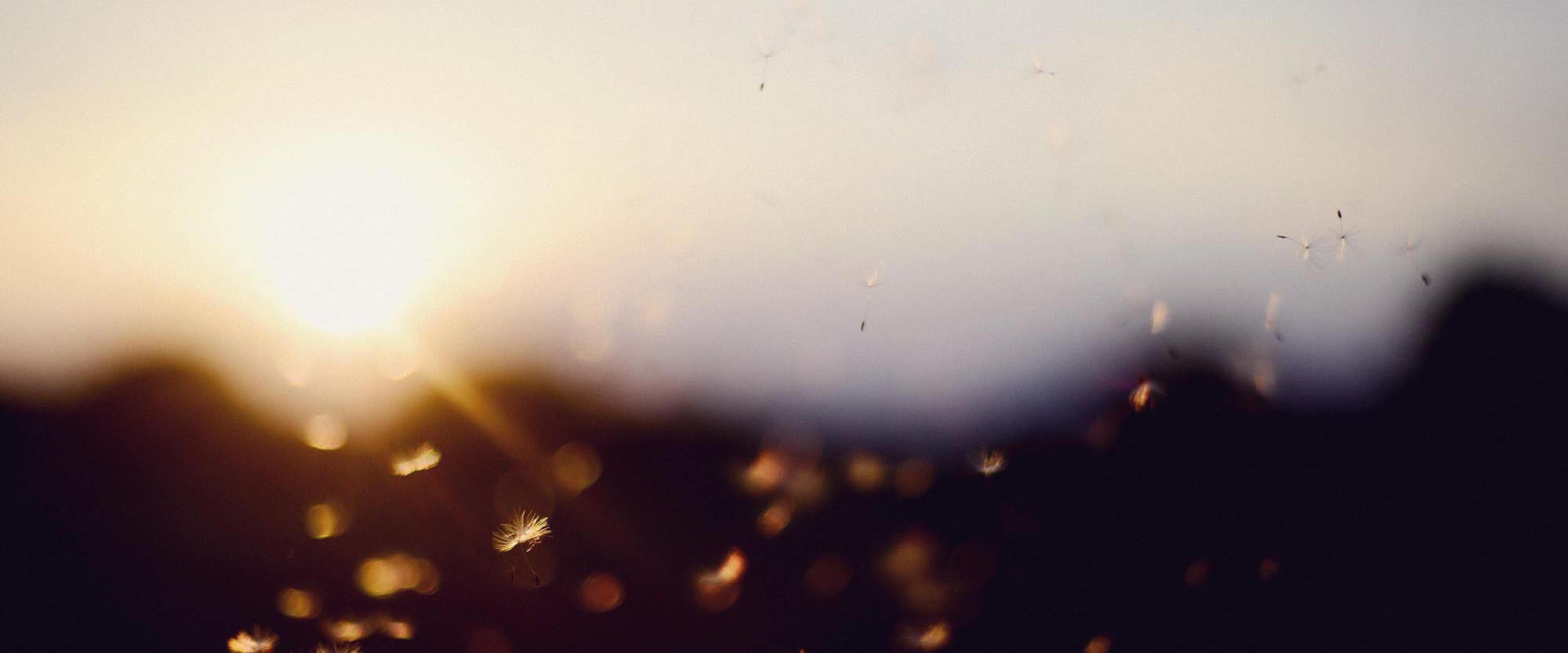 A Glorious Inheritance - Leading The Way United Kingdom